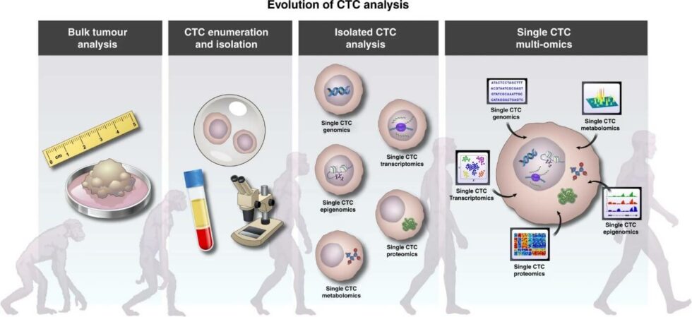 Single-Cell Multi-omics of Circulating Tumor Cells